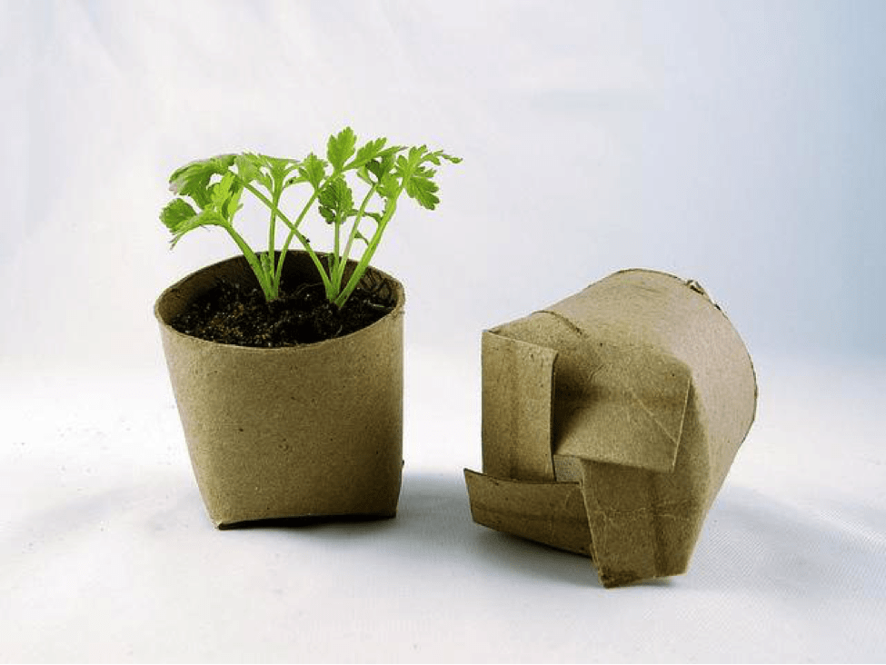 7 Stellar Examples of Green Packaging That Works